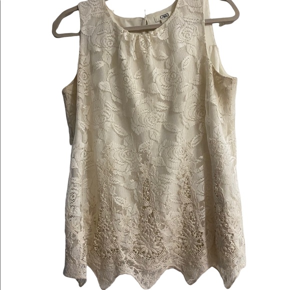 Cato | Tops | Cato Lace Lined Tank | Poshmark